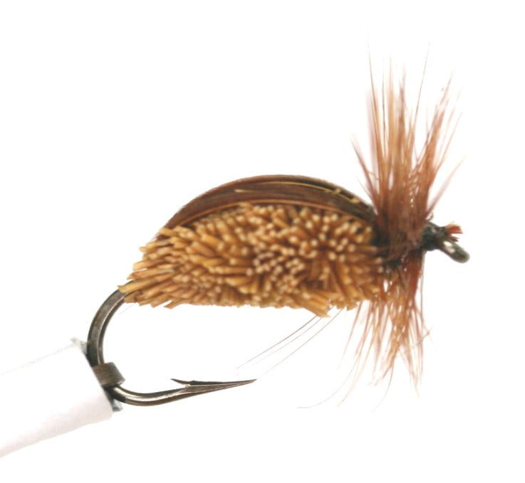 Brown Beetle Dry Fly – Monster Distribution B2B